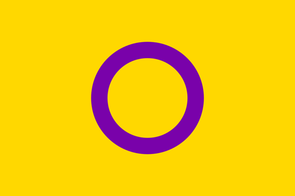 Find Our All the Info You Need About the Intersex Flag
